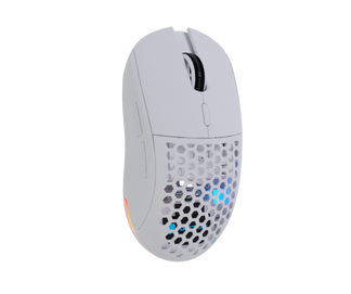 Valor Wireless Mouse – PureTrak LLC